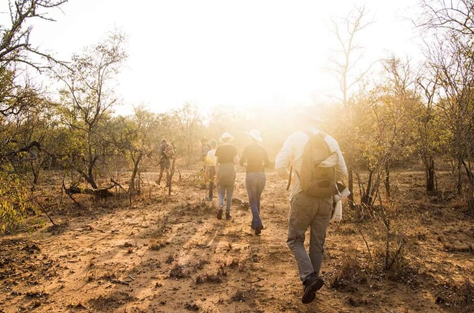 The Complete Guide to Online Field Guide Course - adventures with light